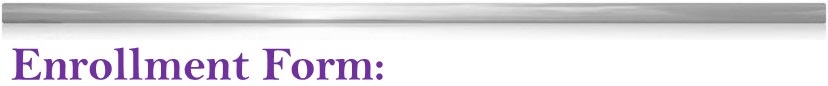 Purple Divider | My Online Bible Study